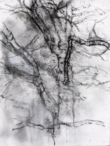 TREE, #10 web - Eric Lawing | Eric Lawing