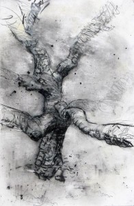 TREE, #14 / 39" x 26" / charcoal, pencil, enamel / paper - Eric Lawing ...
