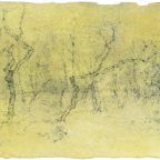 Eric Lawing | trees and woods